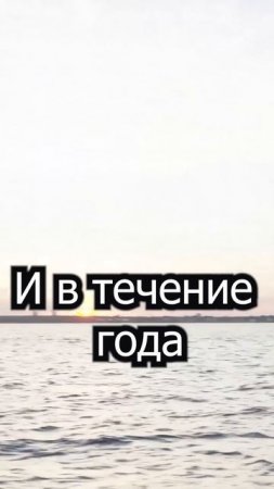 На чём стоит «Медный всадник»?