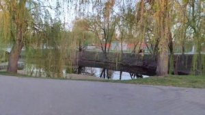 Красота Белгорода 21.04.25.