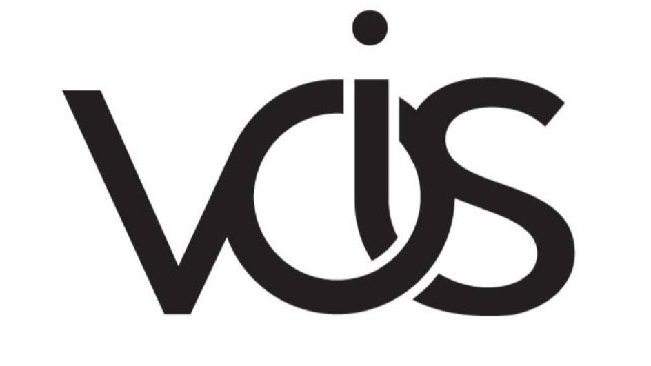 VOIS: Секрет успеха в том, что компания не стала играть по чужим правилам