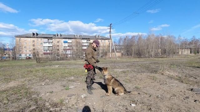 Тренировка по развитию пищевой мотивации и выдержки (Часть 1).