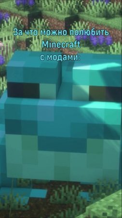 Красота Майнкрафта с модами