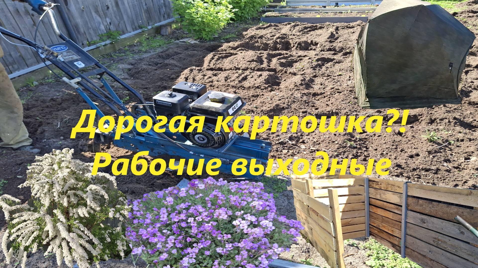 Дорогая картошка?! Как оценить🤔. Ящик для травы. Избавляемся от рассады.Цветы, цветы и опять цветы