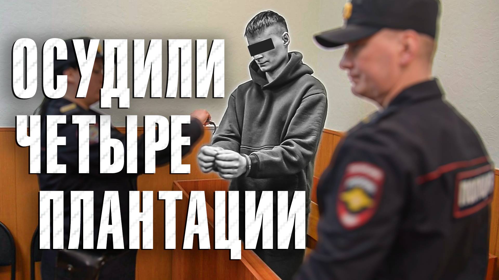 Вызов 02  В суд за плантации
