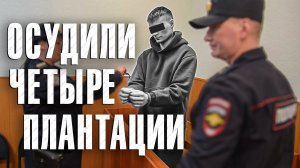 Вызов 02  В суд за плантации