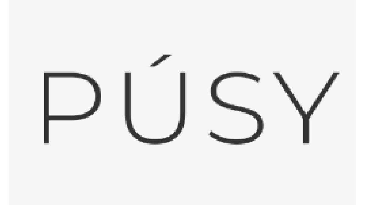 Успех PUSY: Не только реклама и блогеры, но и стратегический маркетинг с цифрами