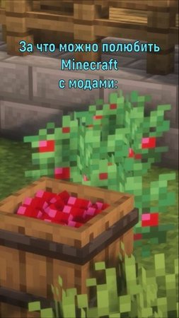 Красота Майнкрафта с модами