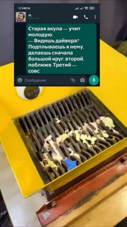 Анекдот ПРО акул #приколы #смех #анекдоты #шутки #юмор