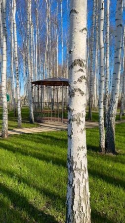 🌿 Мечтаете жить у озера или рядом с лесом?
⠀