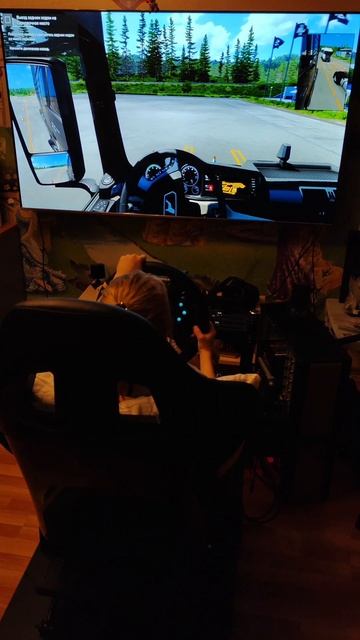 ETS2 Параллельная парковка