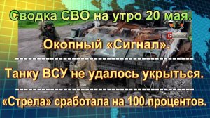 Сводка СВО на утро 20 мая. Позабытые — боевики валяются вдоль границы