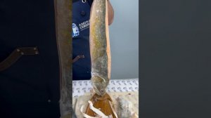 ❄️ СТРОГАНИНА ИЗ АРКТИЧЕСКОГО ГОЛЬЦА: ВКУС СЕВЕРА НА ВАШЕМ СТОЛЕ! 🐟✨