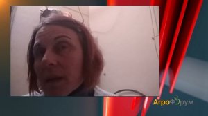 АГРОФОРУМ: Италиански сортове пшеница – с отлично раз