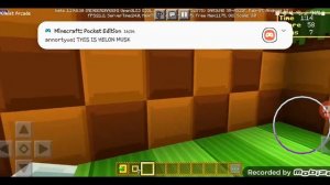 Соник в майнкрафте-Sonic in Minecraft