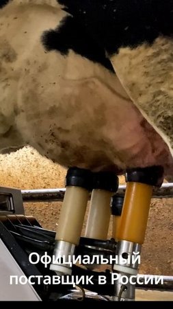 Доильные роботы M²erlin от Fullwood JOZ #farming #cow #сельскоехозяйство #robotics