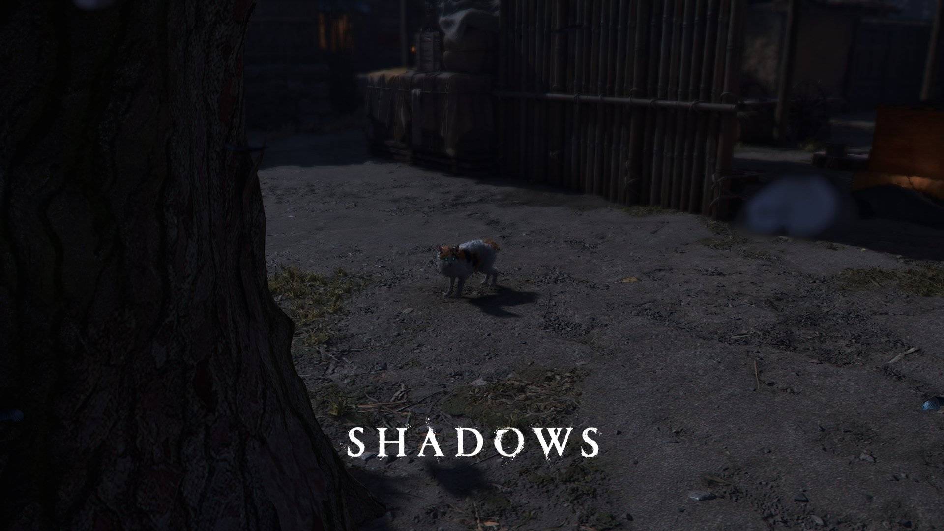 Assassin's Creed Shadows Находим бабочек оригами, и смотрим к чему это нас привело