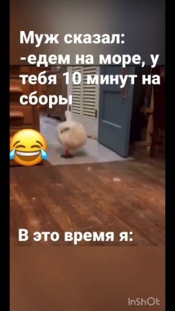 Чисто я по жизни😂 #shorts#видео#приколы#утка#бегает#покоридору#едемнаморе#домашниеживотные#приколы