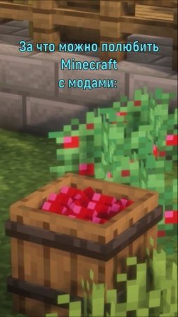 Красота Майнкрафта с модами