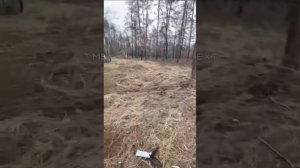 шёл 4 год войны... прям всё как делать не надо...