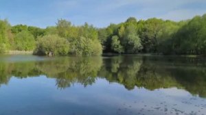 Пруды Покровское-Стрешнево. 17.05.2025
