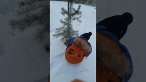 II место "Зимние забавы"