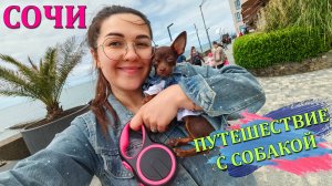 КРАСНАЯ ПОЛЯНА | ЭСТОСАДОК | РОЗА ХУТОР | О ТЕПЛО | GIORGIO SULUGUNI | АДЛЕР СОЧИ | ТАЛАССО | МАРТА