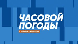 Часовой погоды | 21 мая 2025 года