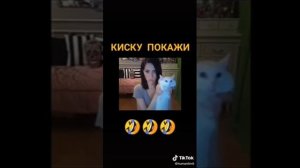 Киску покажи 😂