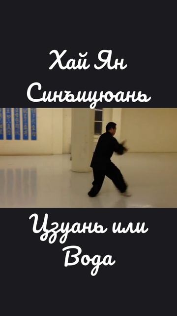 Хай Ян. Синъицюань. Цзуань или Вода
