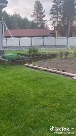 VID-20250519-WA0137