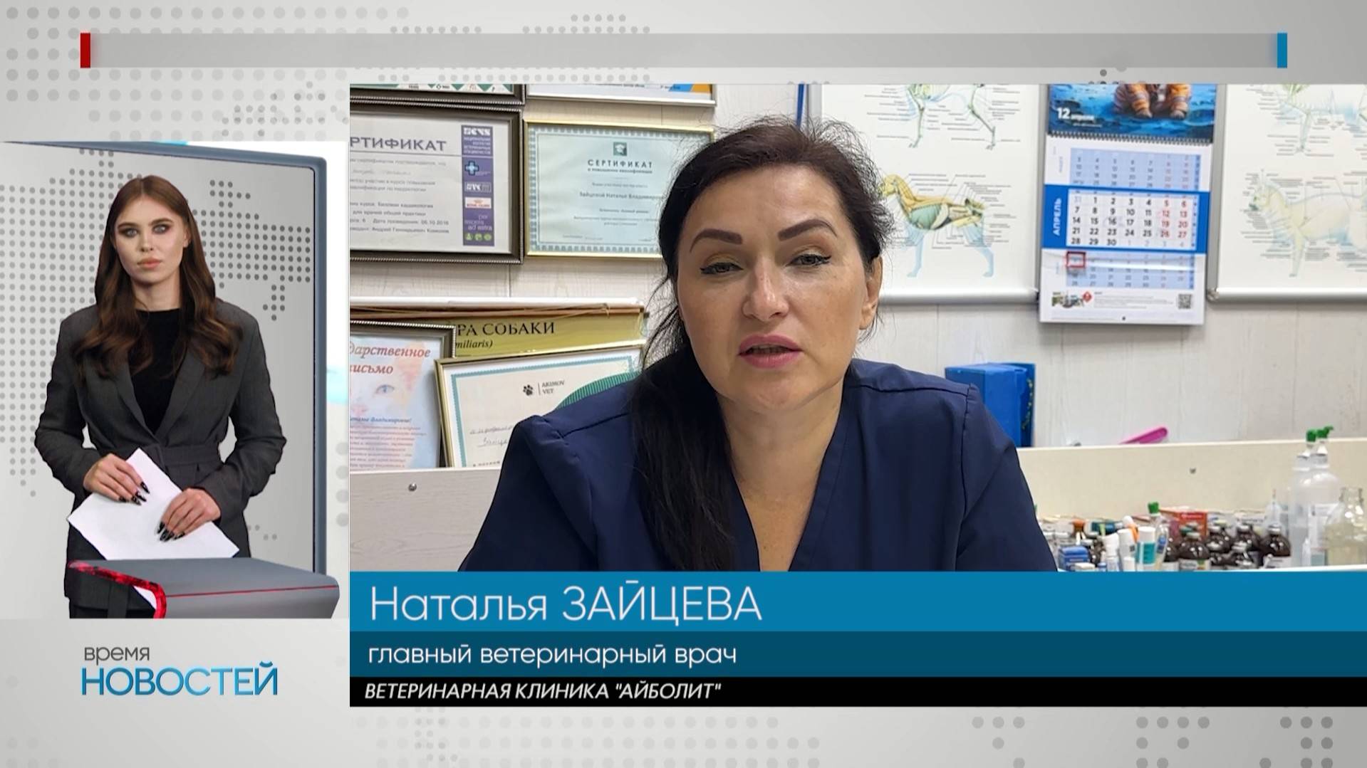 Как сохранить здоровье своего четверного любимца в теплое время года?