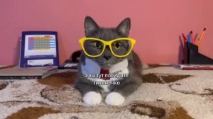 1 час 12 минут 32 секунды видео котийнета #kotiynet