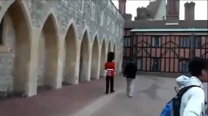Приколы
