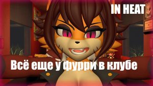 РАЗВЛЕКАЮ ФУРРИ В ИХ КЛУБЕ | IN HEAT