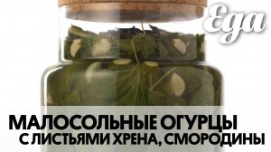 Малосольные огурцы