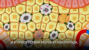 Как_работает_фотодинамическая_терапия_REVIXAN