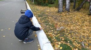 Белка парк приколы