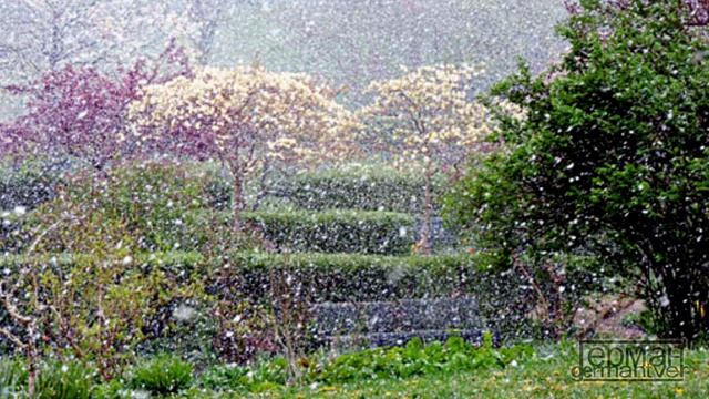 Майский снег - Kol-O-Bok