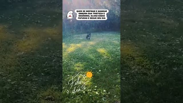 VID-20250519-WA0156