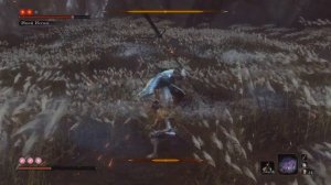 SEKIRO  SHADOWS DIE TWICE Инной Иссин.
