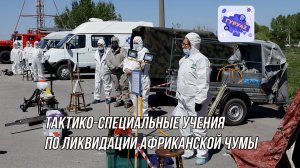 Учения по ликвидации африканской чумы свиней прошли в Гурьевском округе