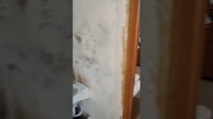Продам 2 ком.кв. г.Сатка ул.Металлургов, 21 2этаж