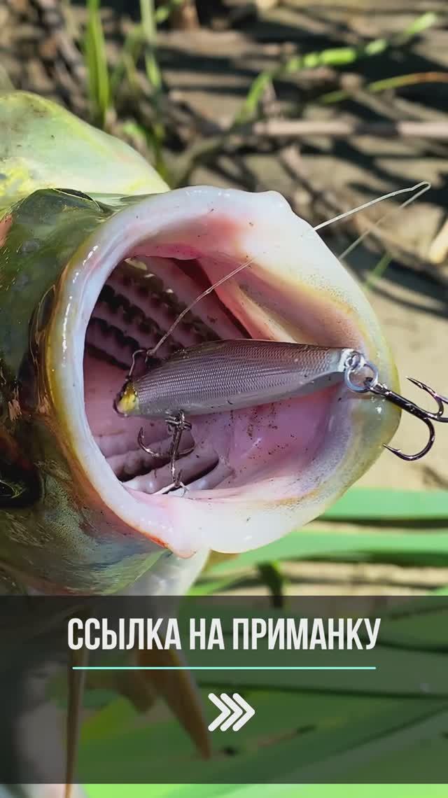 🔥 НОВЫЙ БЮДЖЕТНЫЙ УБИЙЦА ЖЕРЕХА!