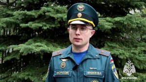 С начала весны в Вологодской области произошло 85 случаев возгораний сухой растительности