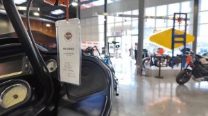 Путешествие по Америке.Las Vegas.Harley Davidson.