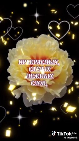 VID-20250519-WA0113