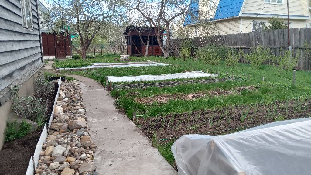 Сухой ручей