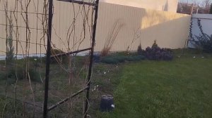 Арки центральной части сада, размеры.