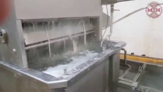 Линия обработки черевы комбинированная полуавтомат BW-MCU (обработка бараньей черевы)