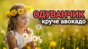 ОДУВАНЧИК — ТВОЙ БЕСПЛАТНЫЙ СУПЕРФУД, о котором ты не знал!