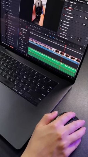 Мышь для MAC OS и для ПК -  Rapoo MT560